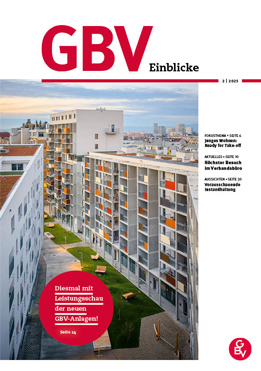 GBV Website